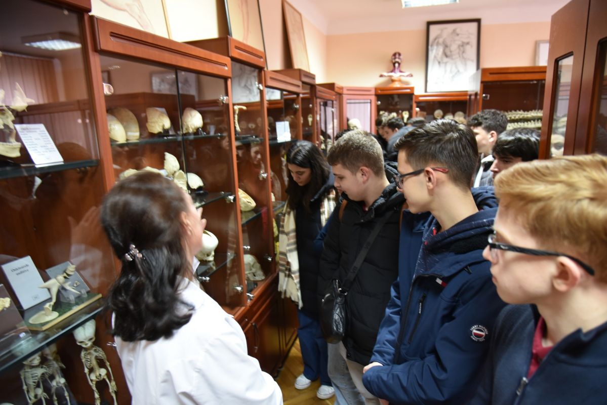 Un grup de elevi din clasele a X-a în vizită la Muzeul de anatomie a ...